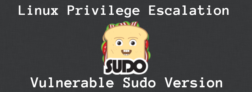 Linux Privilege Escalation Vulnerable Sudo Version Steflan S